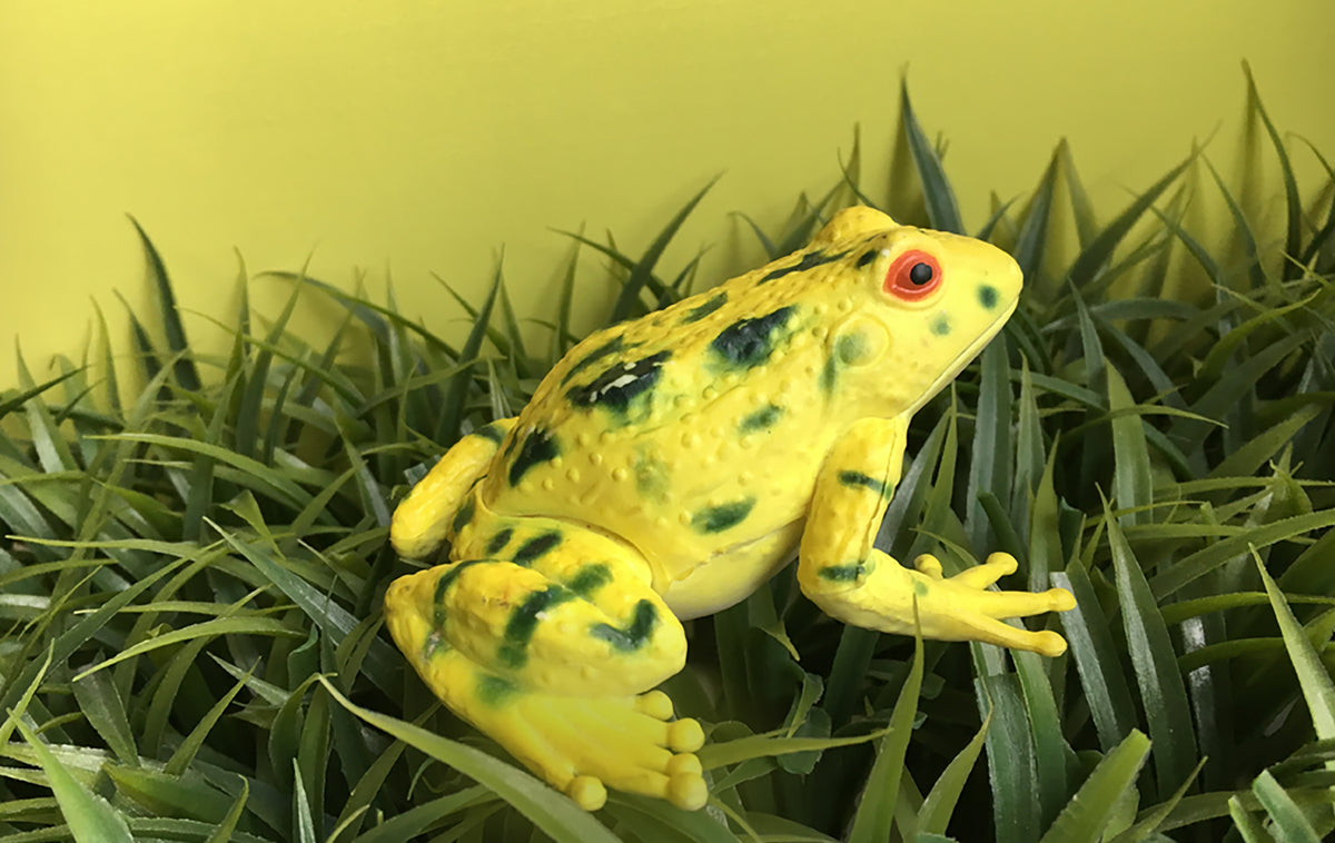 Color: Sulphur Yellow – Donald Kaufman Color